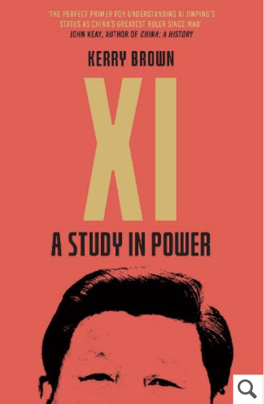 Professor Kerry Brown in Conversation with Dr Jenny Clegg - Society for ...