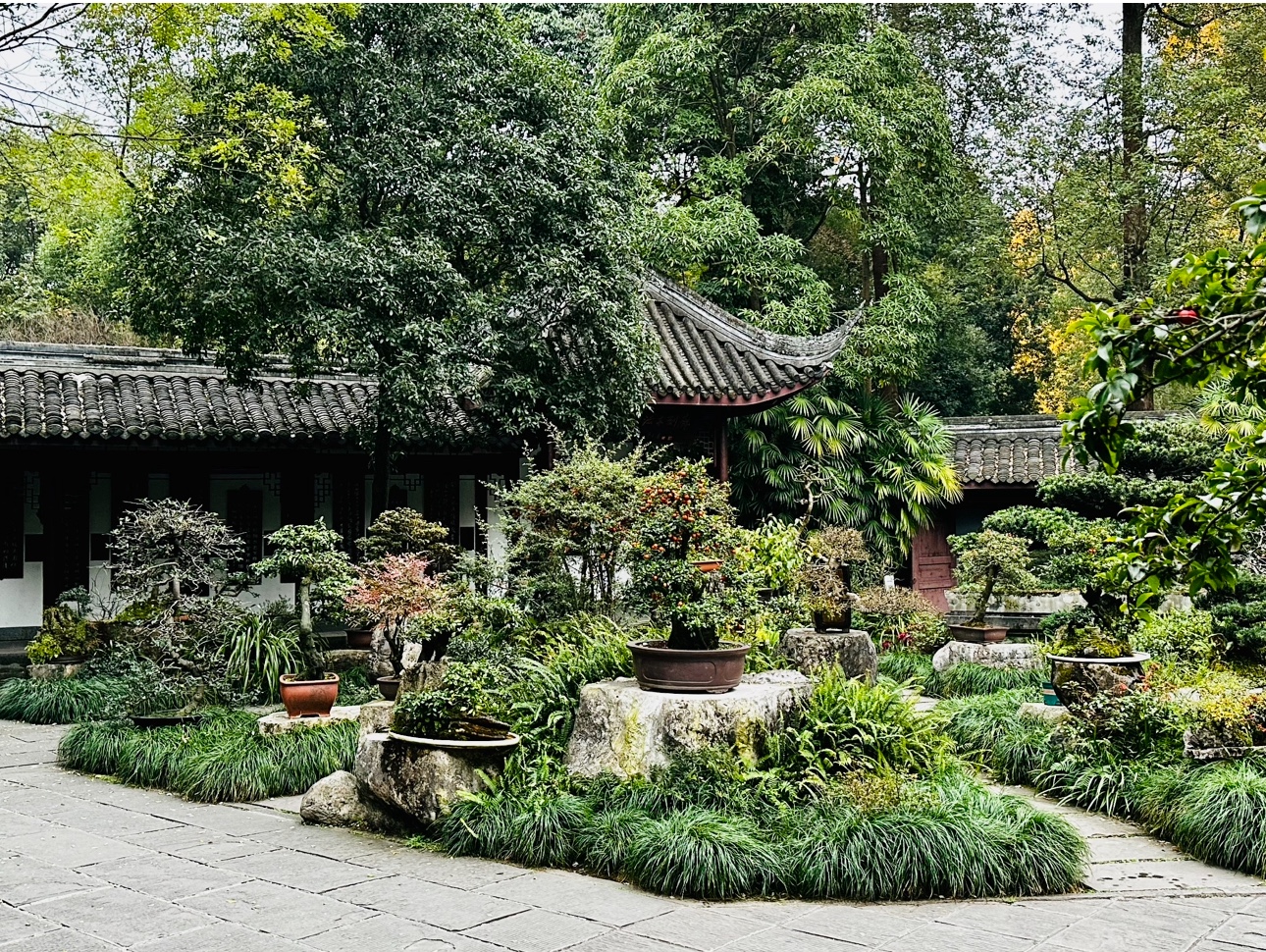 Changing faces of Chengdu - Society for Anglo-Chinese Understanding (SACU)